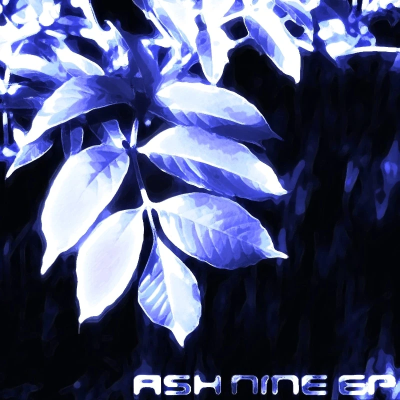 Ash Nine EP | LapFox Trax Wiki | Fandom
