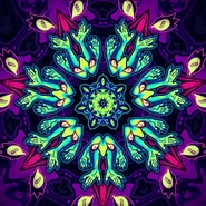 NULL NOTE HEAD | LapFox Trax Wiki | Fandom