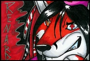 Renard | LapFox Trax Wiki | Fandom