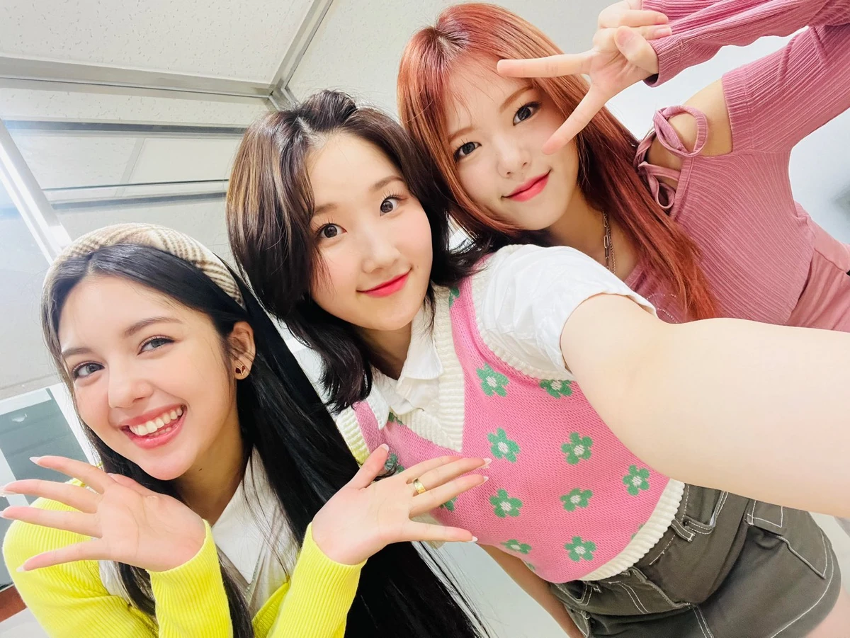 Foreigners | Lapillus Wiki | Fandom