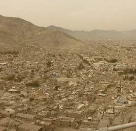 Cerru | Wiki Lapislazulifoxy222 | Fandom