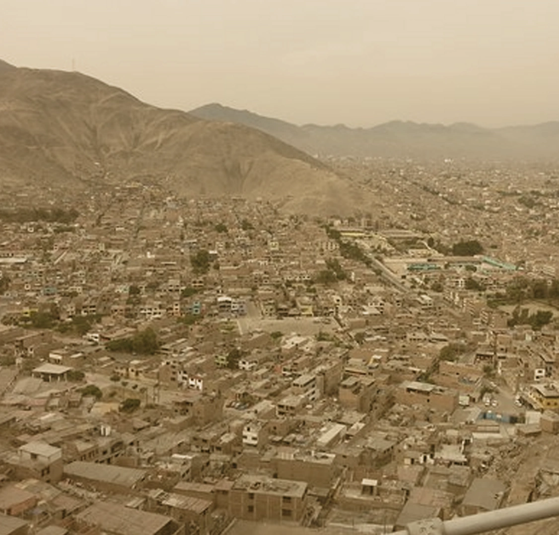 Cerru | Wiki Lapislazulifoxy222 | Fandom