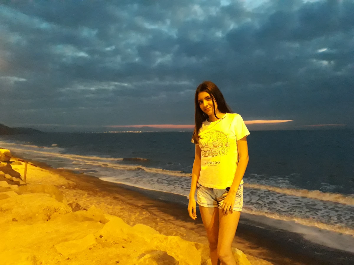 Características | La playa jsjs Wiki | Fandom