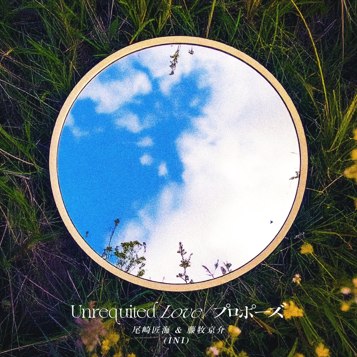 Unrequited Love / Propose | LAPONE Wiki | Fandom