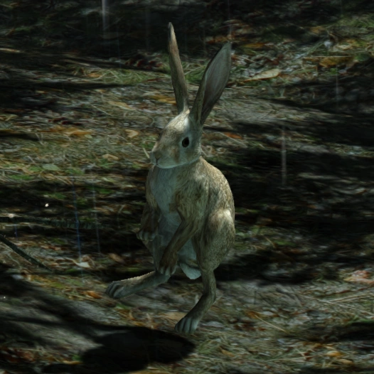 Rabbit | Lara Croft Wiki | Fandom