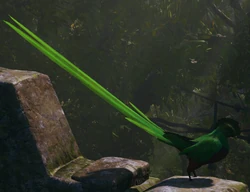 Quetzal | Lara Croft Wiki | Fandom