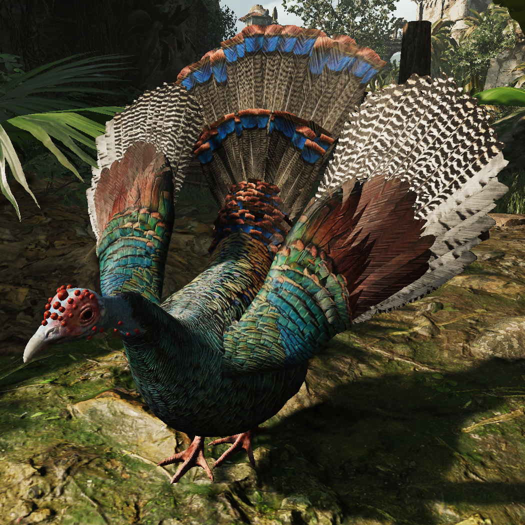 Turkey (Animal) | Lara Croft Wiki | Fandom