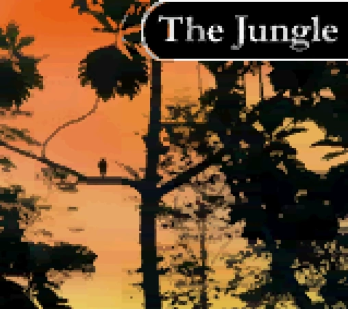 Jungle (CotS) | Lara Croft Wiki | Fandom