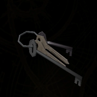Ex-janitor's Key | Lara Croft Wiki | Fandom