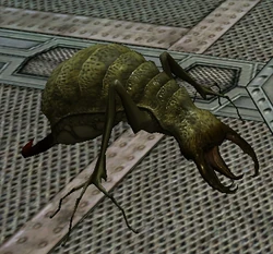 Pill Bug Mutant | Lara Croft Wiki | Fandom