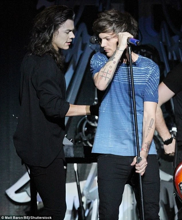 Larry Stylinson 2015 | Larry Stylinson Wiki | Fandom