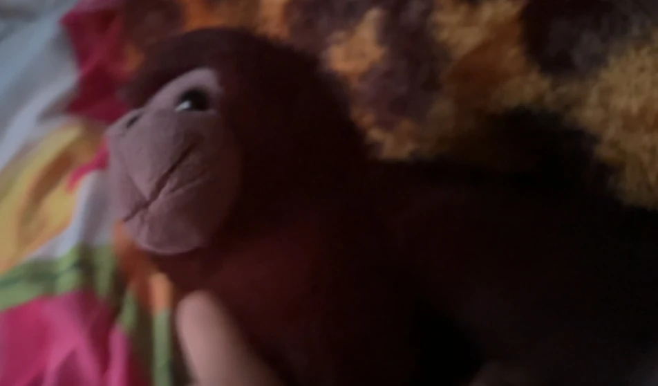 Player 004 | Larry Wiki | Fandom