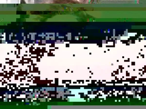 Glitch Shrimp | Lars von TryHard Wiki | Fandom