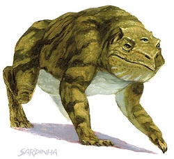 Seanchan | La Rueda del Tiempo Wiki | Fandom