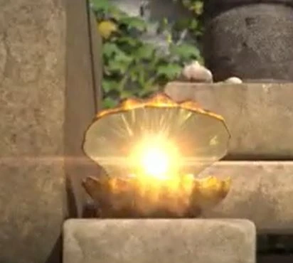 Scallop | Larva animation Wiki | Fandom