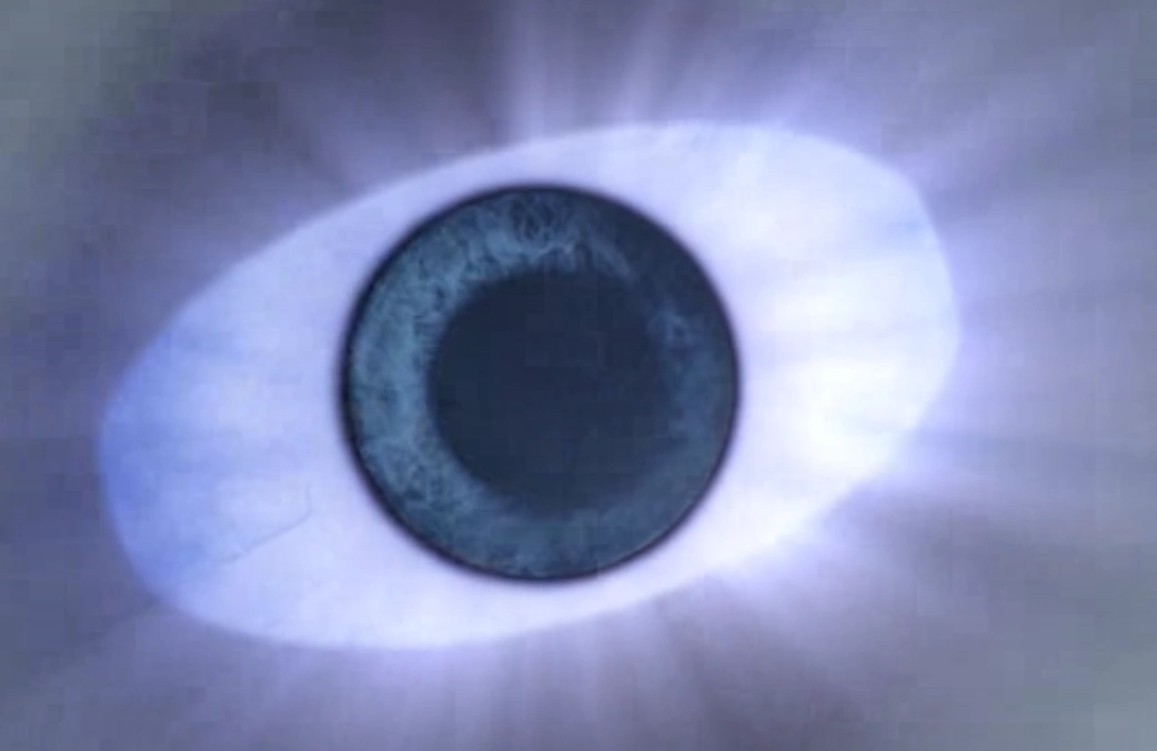 Eye Of The Storm | Larva animation Wiki | Fandom