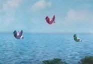 Flock of pigeons | Larva animation Wiki | Fandom