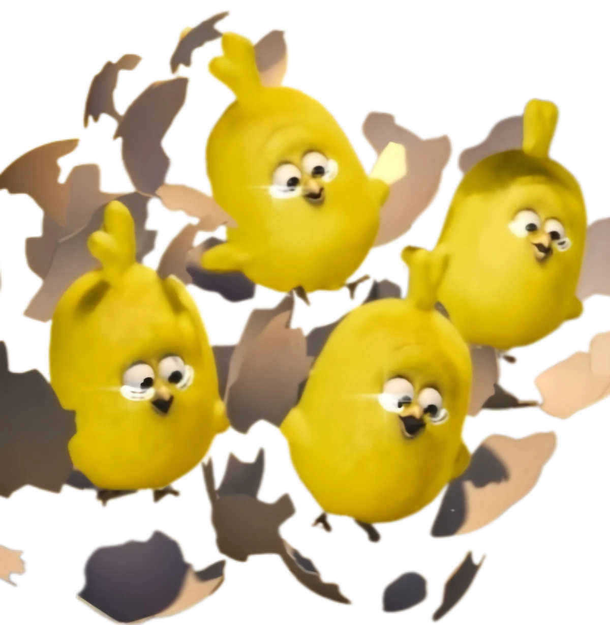 Chick | Larva animation Wiki | Fandom