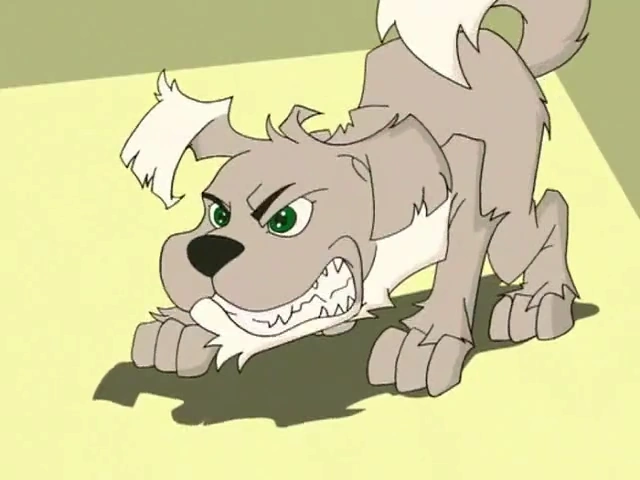 Scruffy | Wiki Las Aventuras de Jackie Chan | Fandom