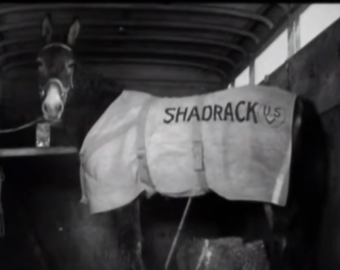Shadrack | Lassie Wiki | Fandom