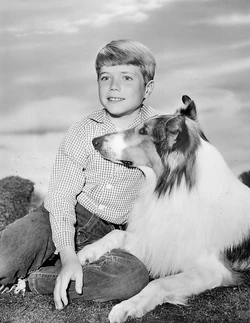 Lassie Timmy Martin