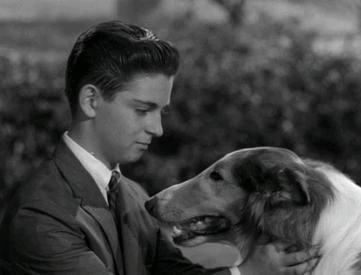 Category:Characters | Lassie Wiki | Fandom