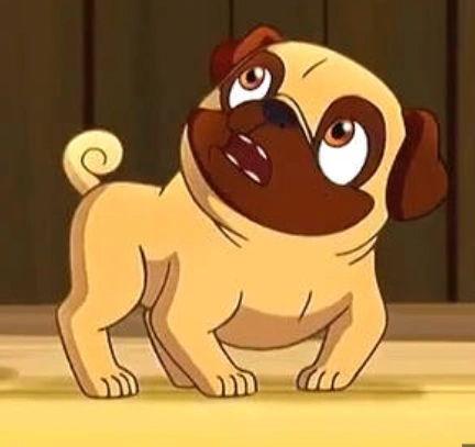 Biff the Pug | Lassie Wiki | Fandom