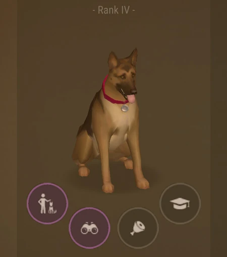 Perro | Last Day on Earth: Survival Español Wiki | Fandom