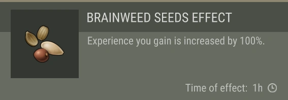 Brainweed Seeds | Last Day on Earth: Survival Wiki | Fandom