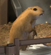 Gopher | Last Fortress: Underground Wiki | Fandom