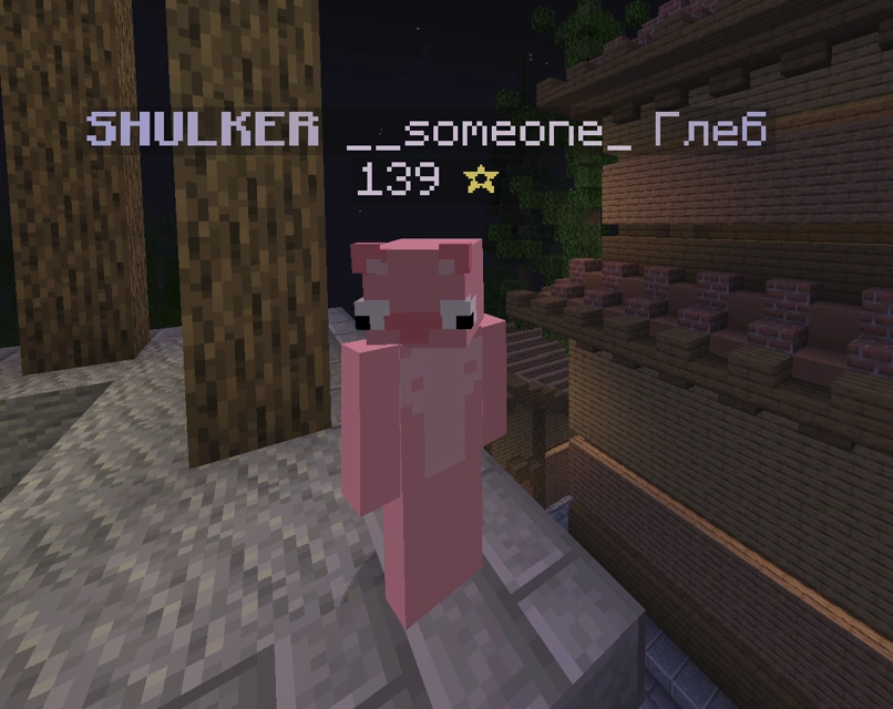 Someone | LastCraft вики | Fandom