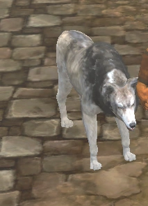 Primal Wolf - Official Last Epoch Wiki