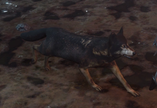 Umber Wolf - Official Last Epoch Wiki
