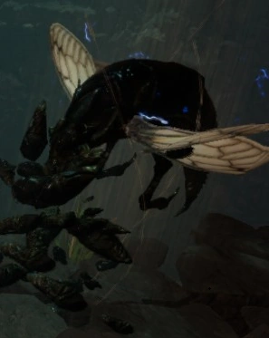 Hiveless Phrax - Official Last Epoch Wiki