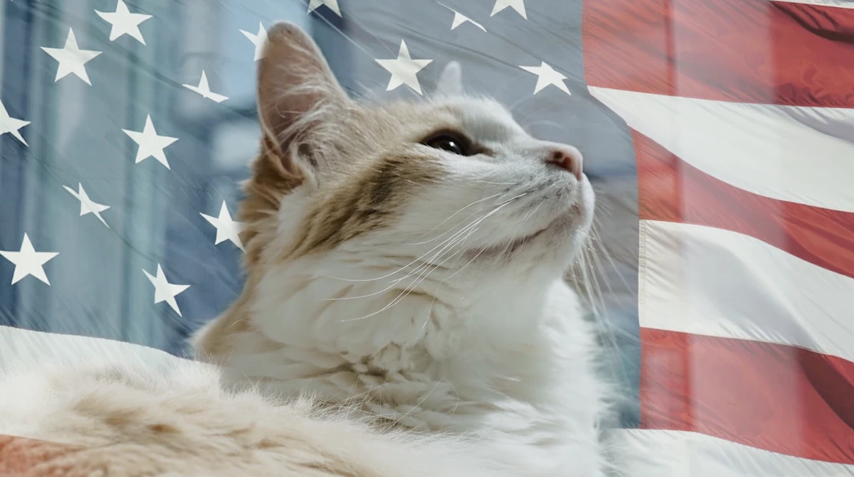 Benny Bell | Last Minute Films Wiki | Fandom