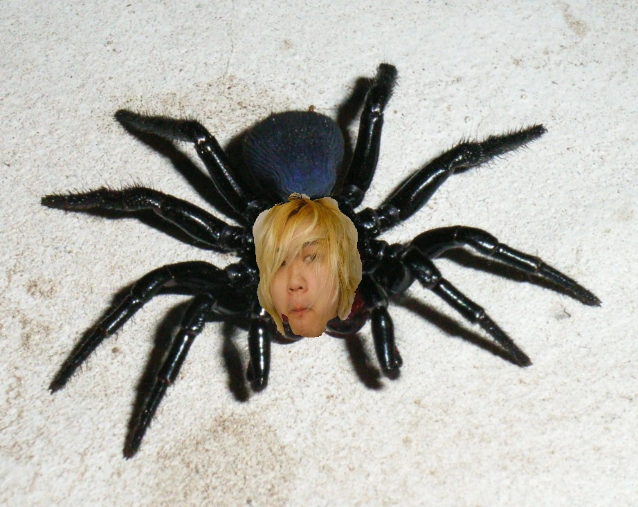 Spider John | Late Night Wikia | Fandom