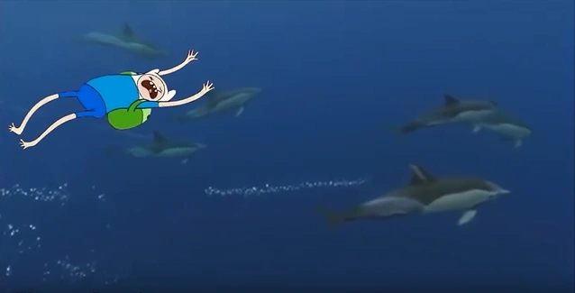 Dolphin Noise | The late 2000s and early 2010s Wiki | Fandom