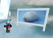 reflection | Late july, midsummer Wiki | Fandom