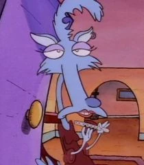 Cindy Wolfe | Wiki La Vida Moderna De Rocko | Fandom