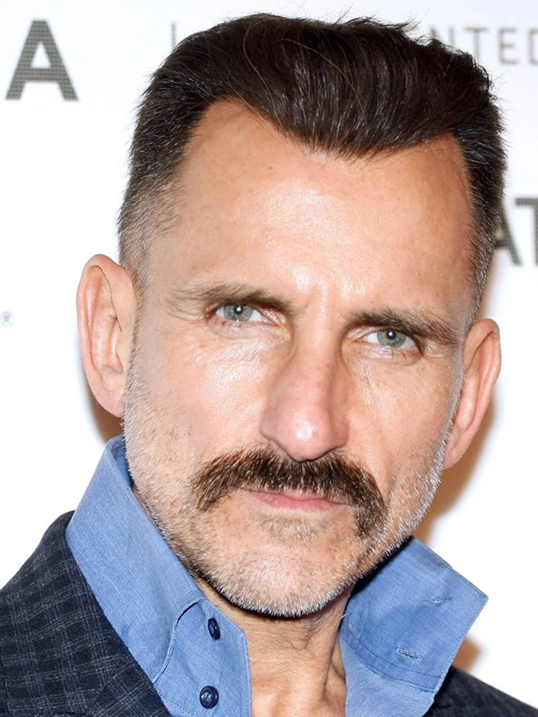 Wass Stevens | Law & Order: Organized Crime Wiki | Fandom