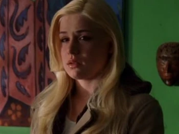 Allison Downey | Law and Order | Fandom