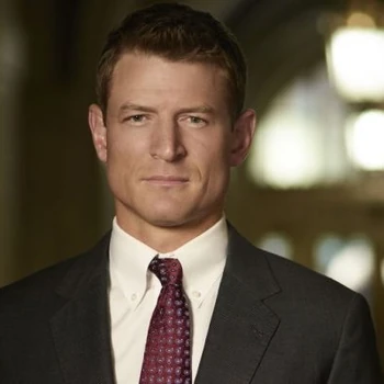 Peter Stone | Law and Order | Fandom