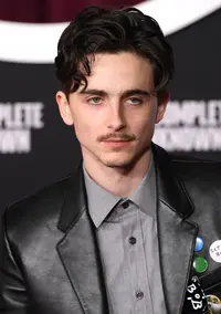 Timothée Chalamet | Law and Order | Fandom