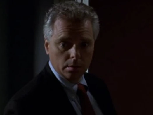 Ray Luetters | Law and Order | Fandom