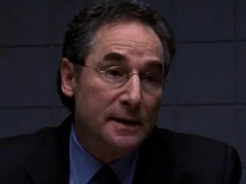 Stephen Singer | Law and Order | Fandom