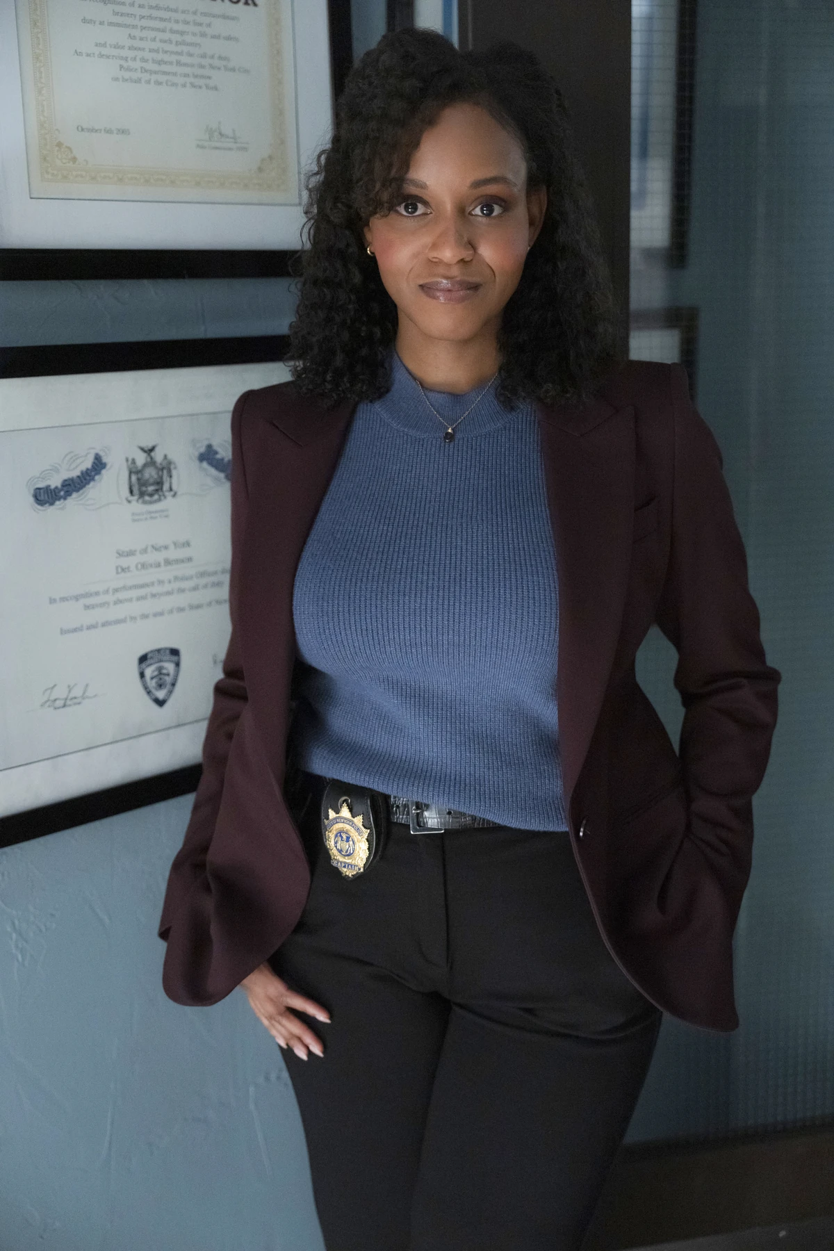Renee Curry | Law and Order | Fandom