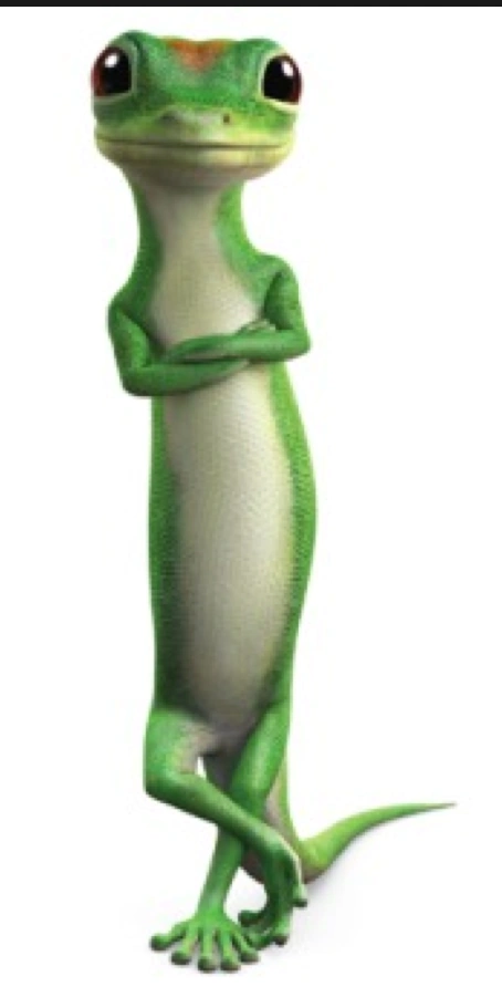 Geico Gecko Glasses