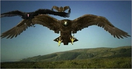 The Birds (Birdemic) | Smash Bros Lawl Stadium Wiki | Fandom