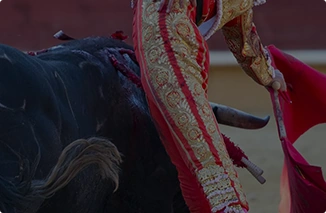 [LW-l] A Bullfighter Puzzle | Professor Layton Wiki | Fandom