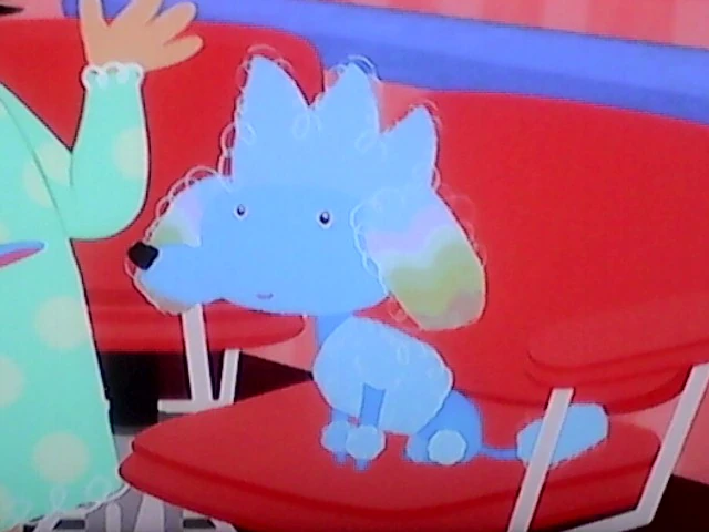Poodle | Lazoo Wiki | Fandom
